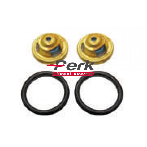 Valve Kit - Diesel Spare Parts | EuroDiesel
